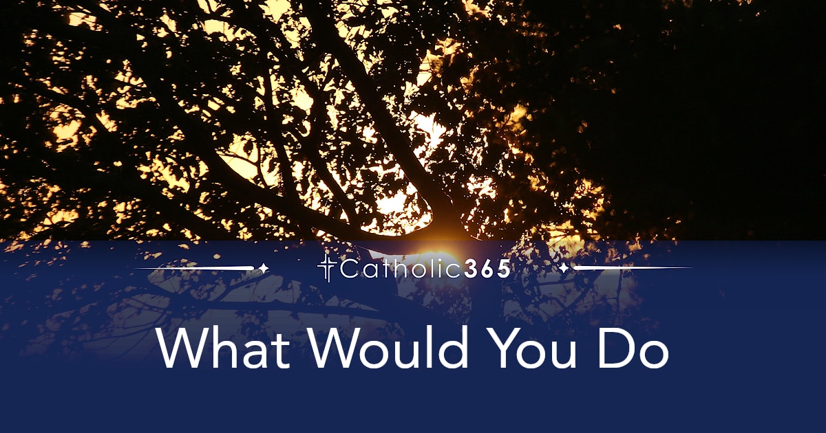 What Would You Do