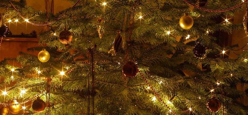 Baby Jesus, Thor, and the Origin of the Christmas Tree