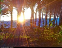 Confession: Not for the faint of heart.